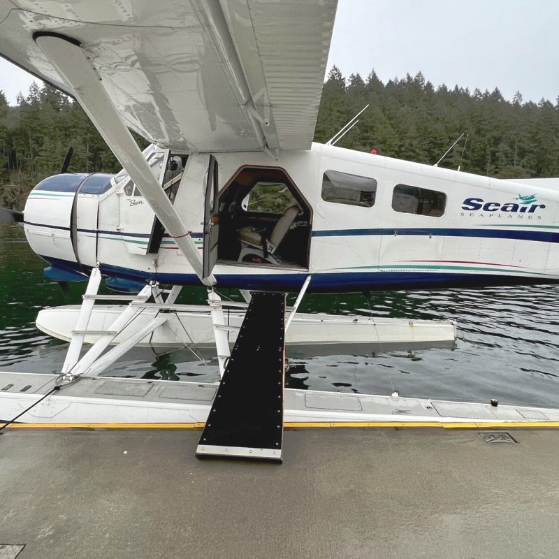 Mobility Access Lift - Seair Seaplanes